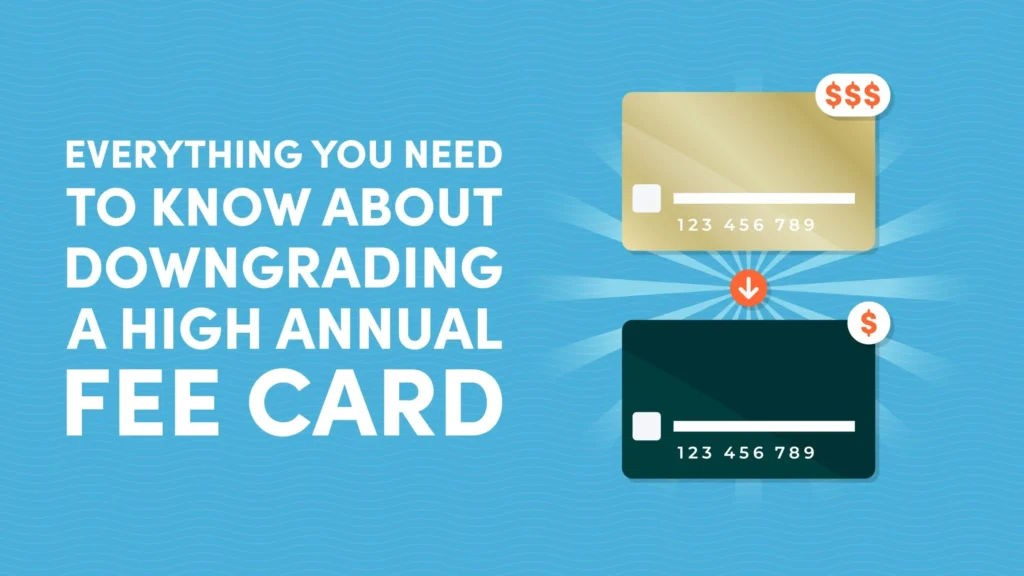 Credit Cards with High Annual Fees 2025: A Data-Driven Playbook for ...